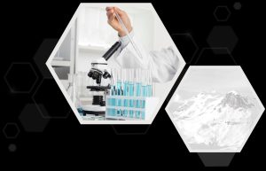 GVig - Global Vantage Innovative Group